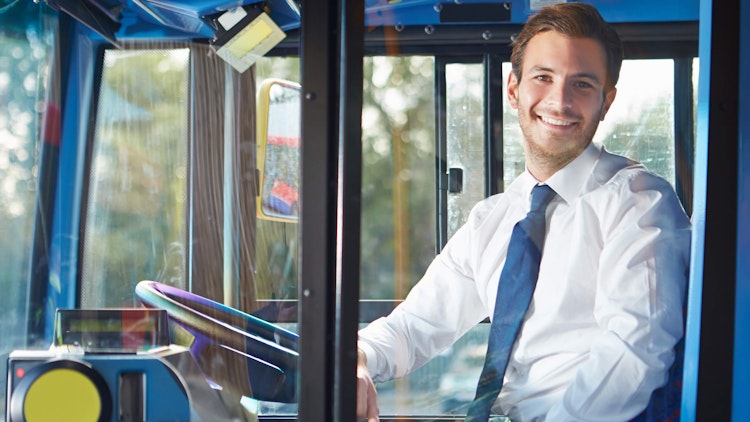 Permis D : conditions et démarches